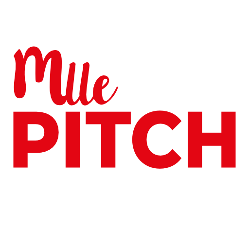 Agence de Communication à impact | Mlle Pitch, agence de communication créative et engagée